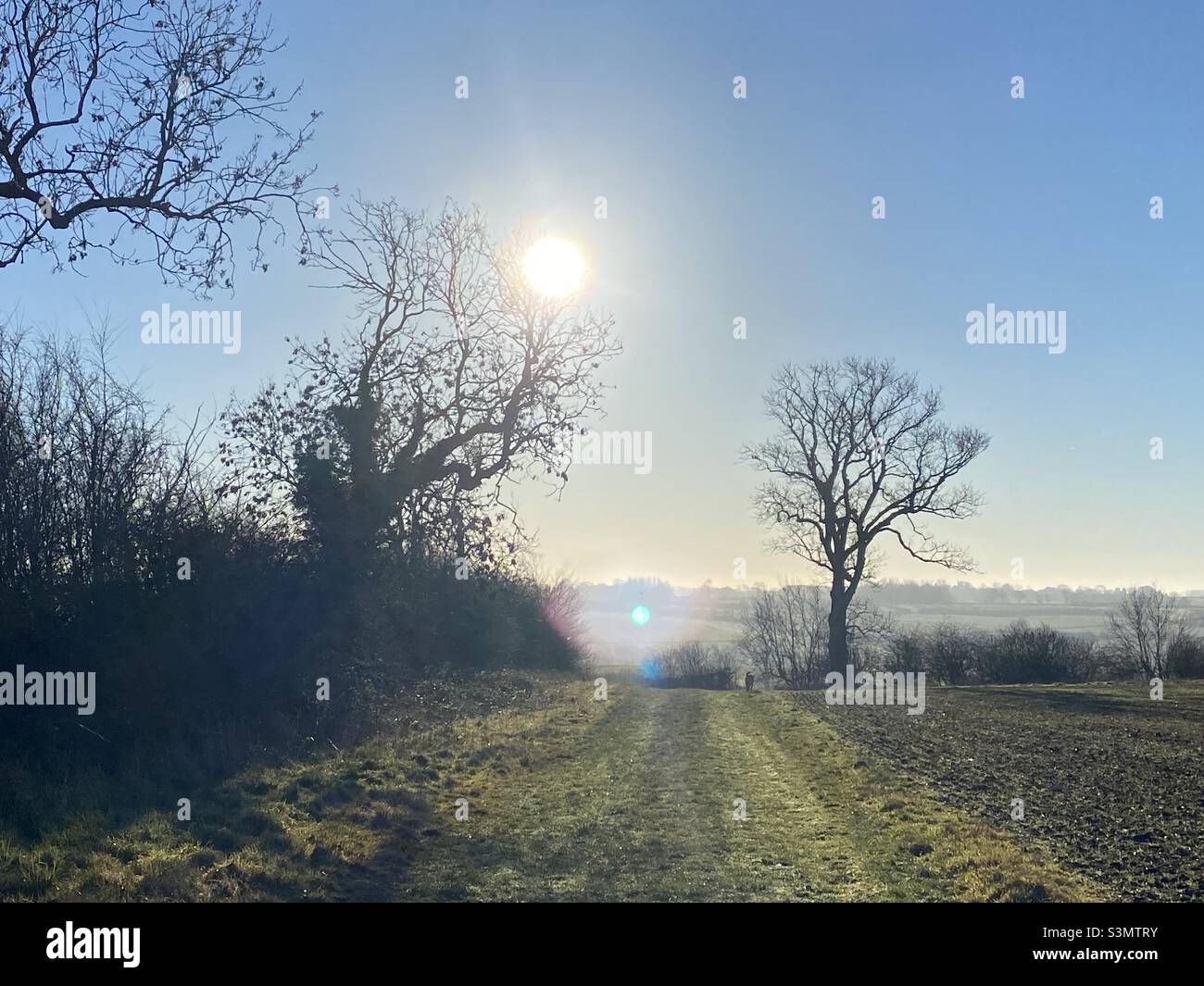 Sunny morning view hi-res stock photography and images - Alamy