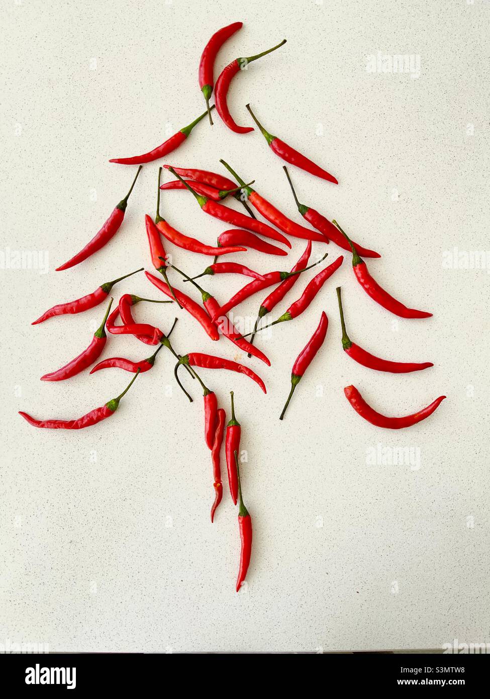 Chilies christmas tree hi-res stock photography and images - Alamy