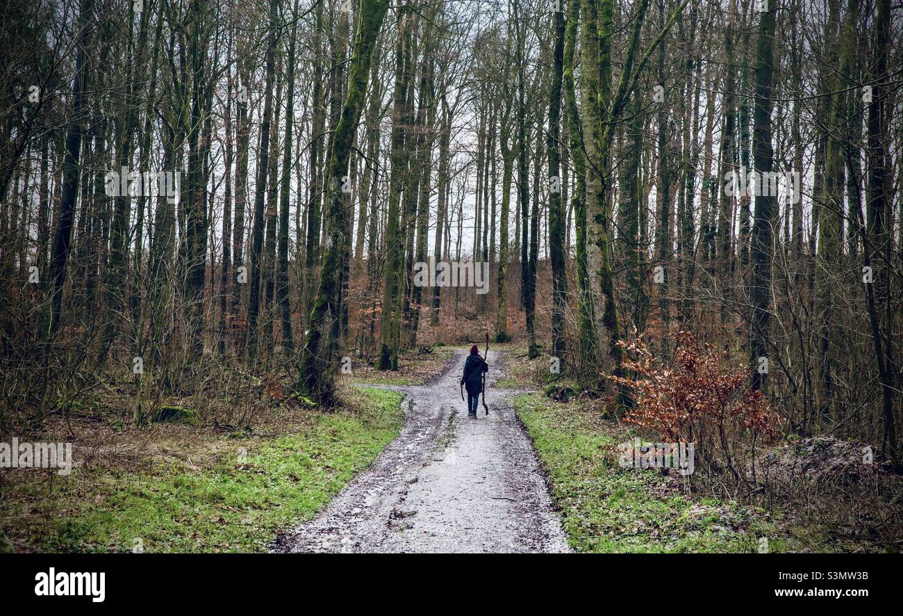 German forest walk hi-res stock photography and images - Alamy