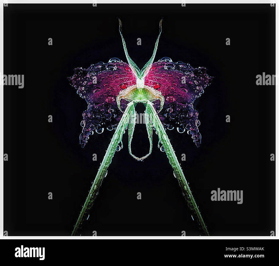Sci fi plants hi-res stock photography and images - Alamy