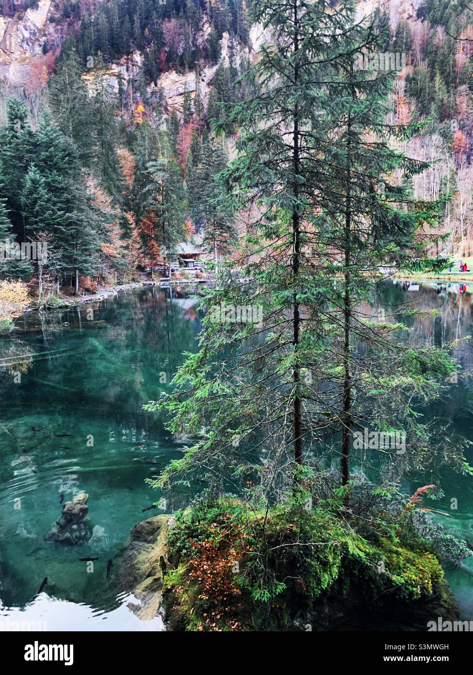 Blausee switzerland hi-res stock photography and images - Alamy