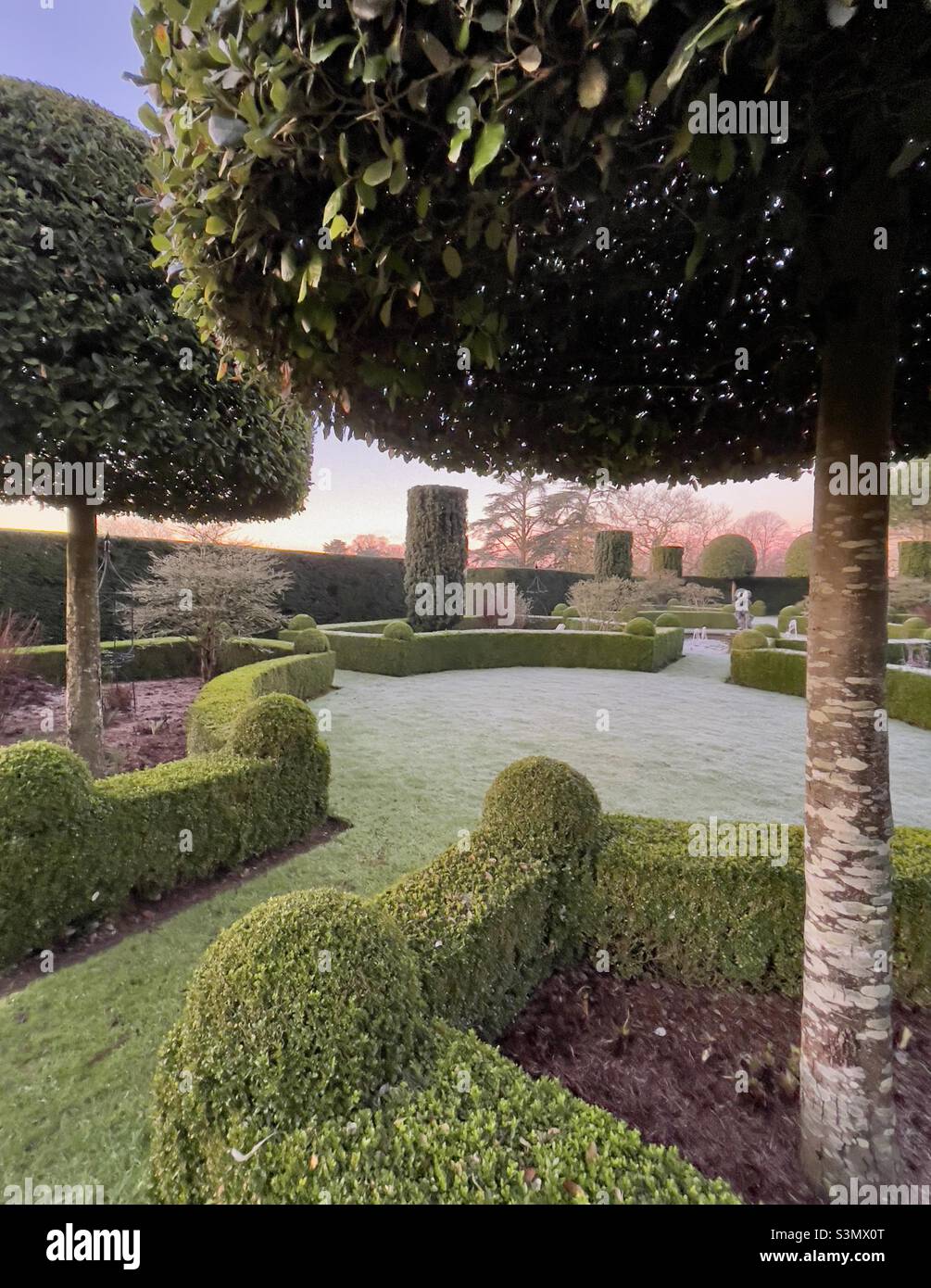 The parterre of a country house hotel garden with topiary early on a ...