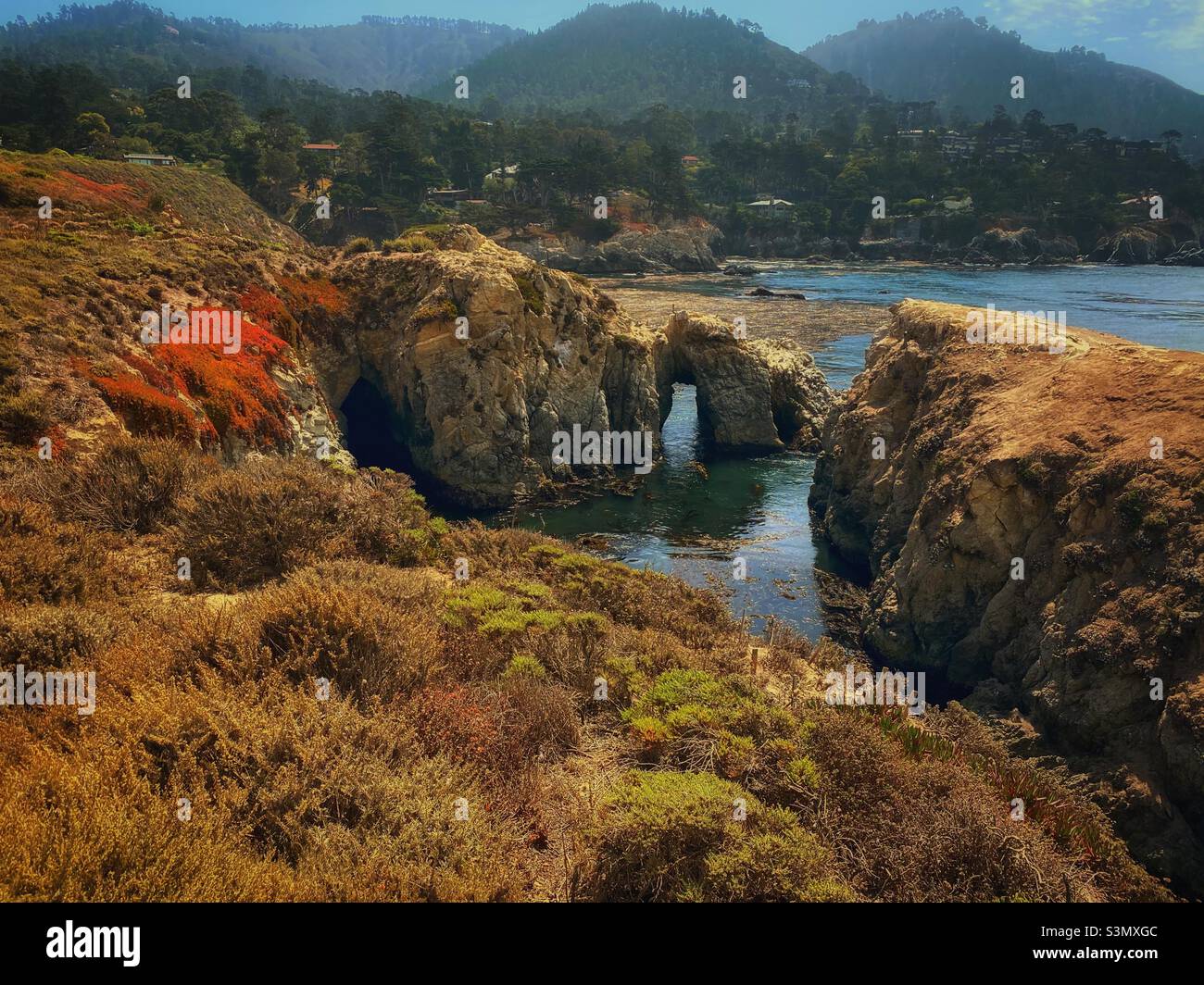 Point lobos nature reserve hi-res stock photography and images - Alamy