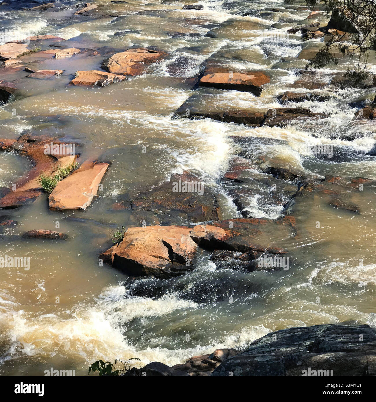 Big Sandy Creek at Indian Springs State Park in Flovilla GA USA Stock ...
