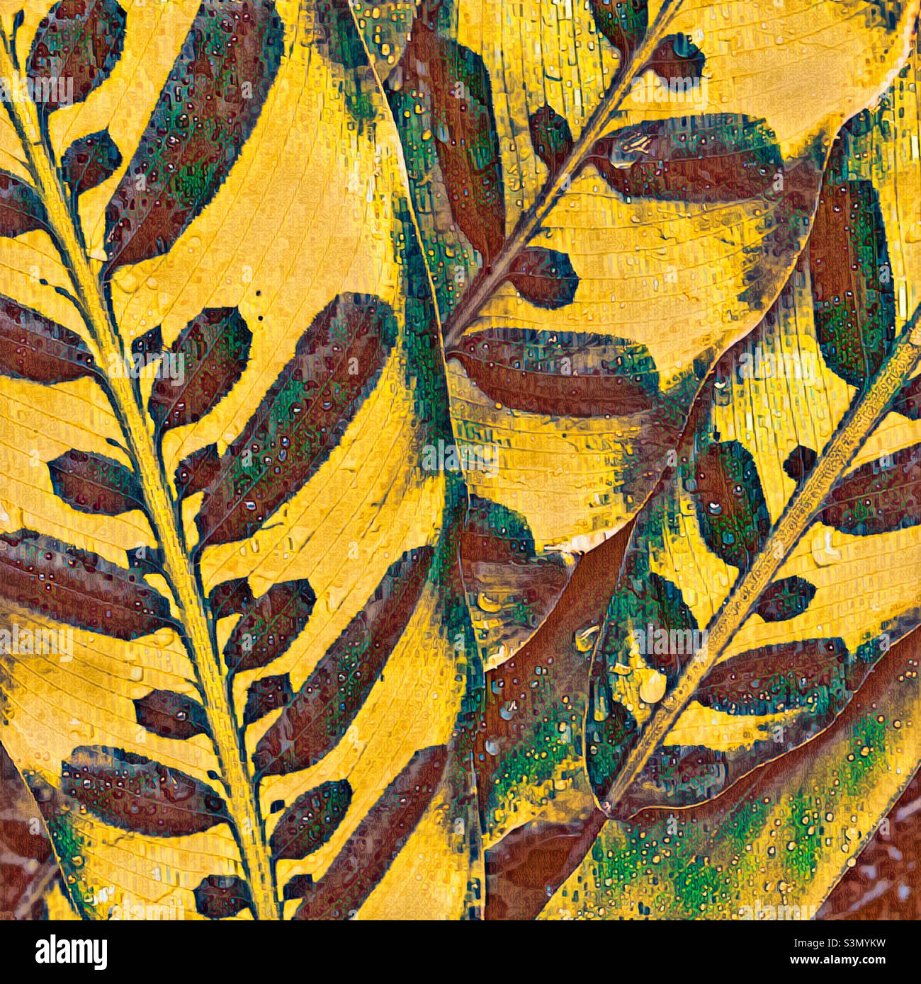 Yellow leaf pattern hi-res stock photography and images - Alamy