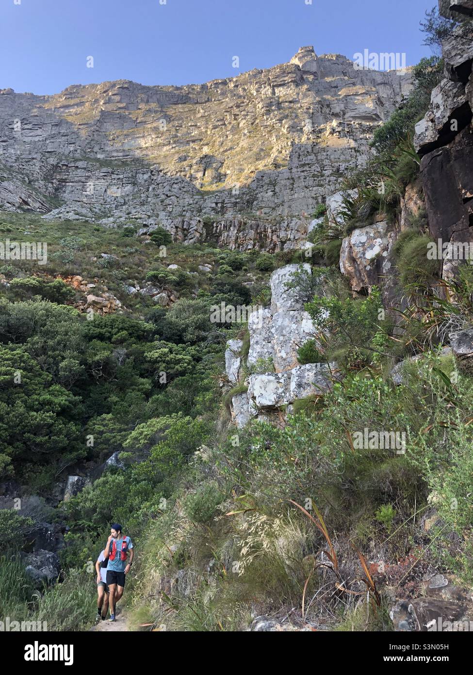 Trail running on Table Mountain contour path Stock Photo - Alamy