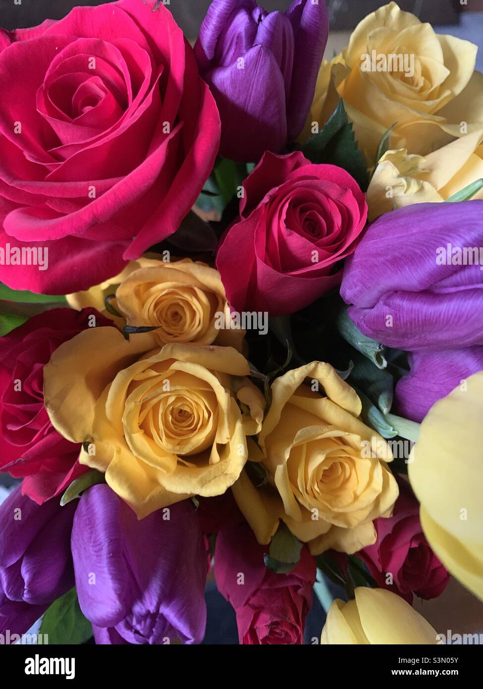 Tulips roses hi-res stock photography and images - Alamy