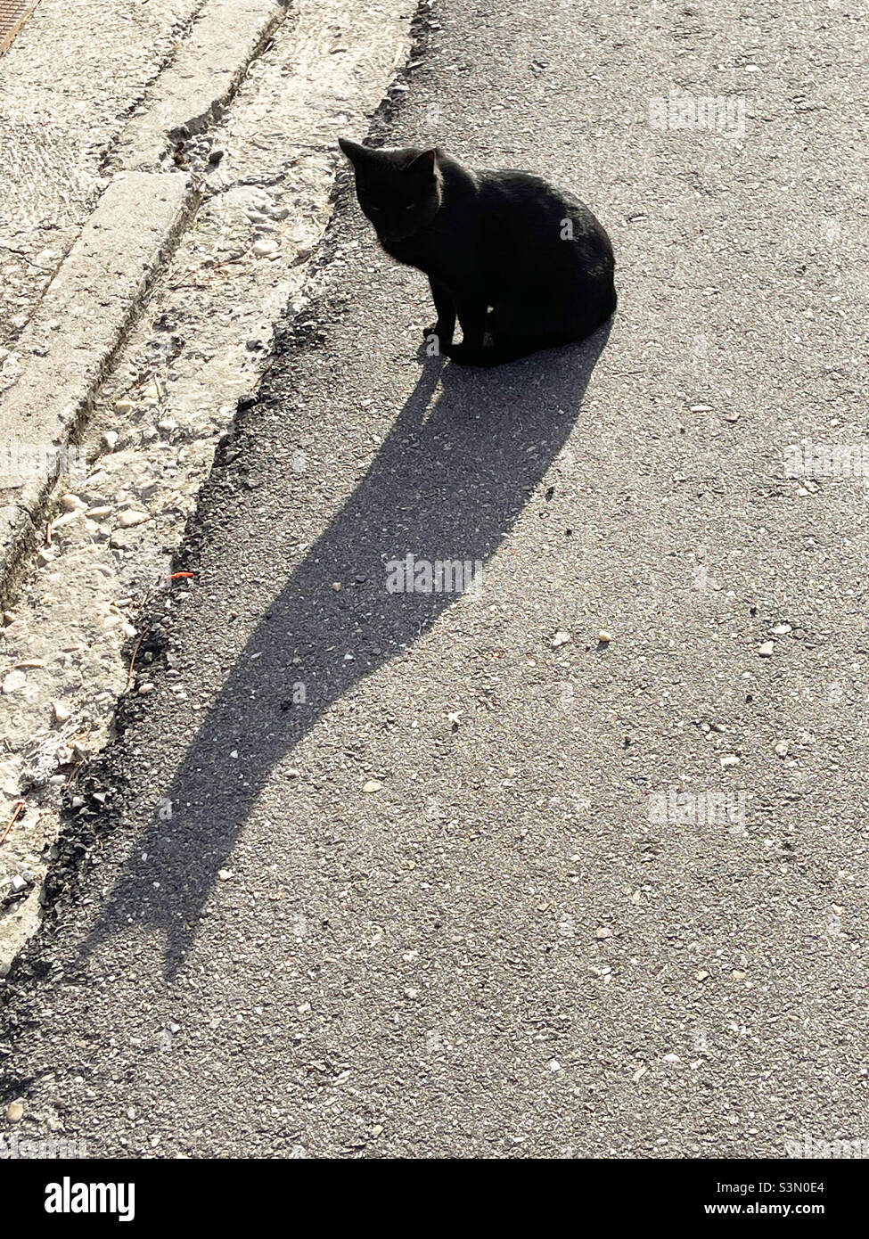 Cats shadow hi-res stock photography and images - Alamy