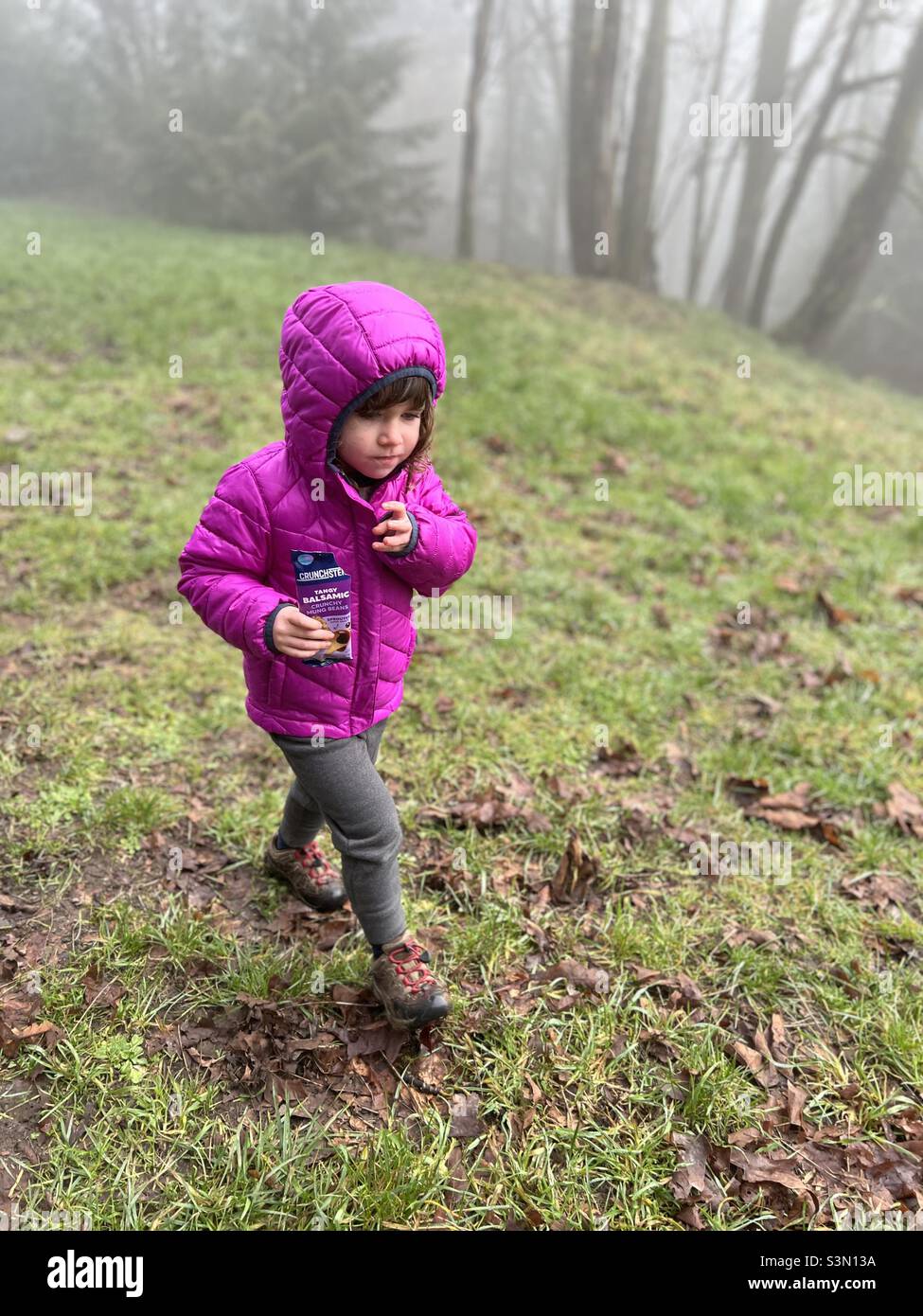 Walking Beans High Resolution Stock Photography and Images - Alamy