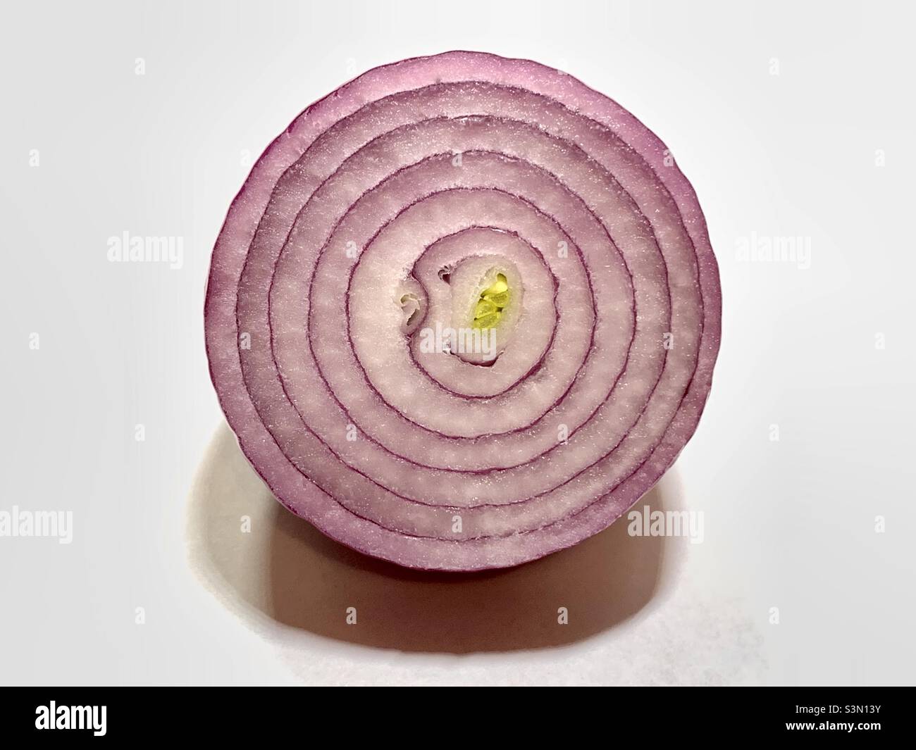 Strong onion hi-res stock photography and images - Alamy