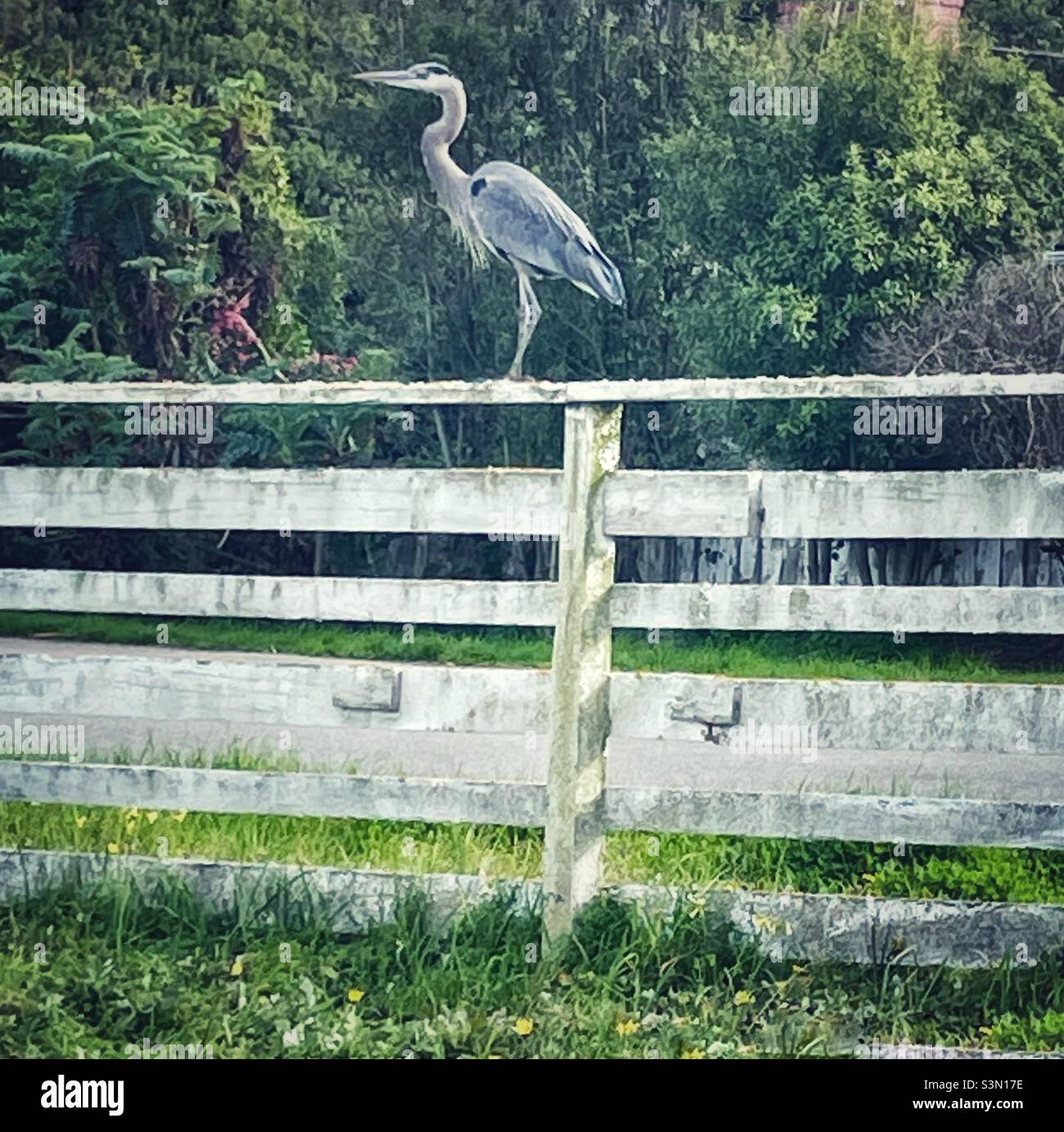 Heron statue hi-res stock photography and images - Alamy