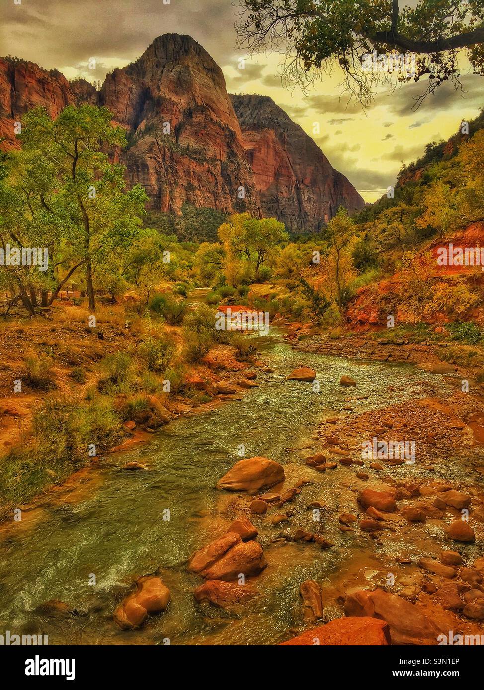 Virgin Riverbed, Zion National Park Stock Photo - Alamy