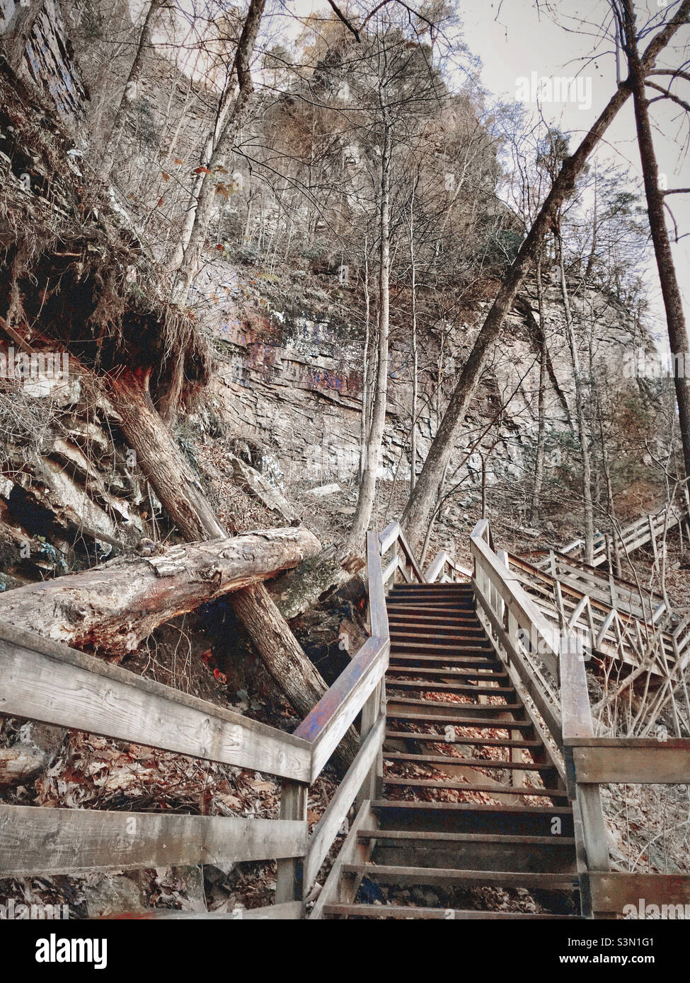 Stair steps leading upwards at Cloudland canyon state park in Rising ...