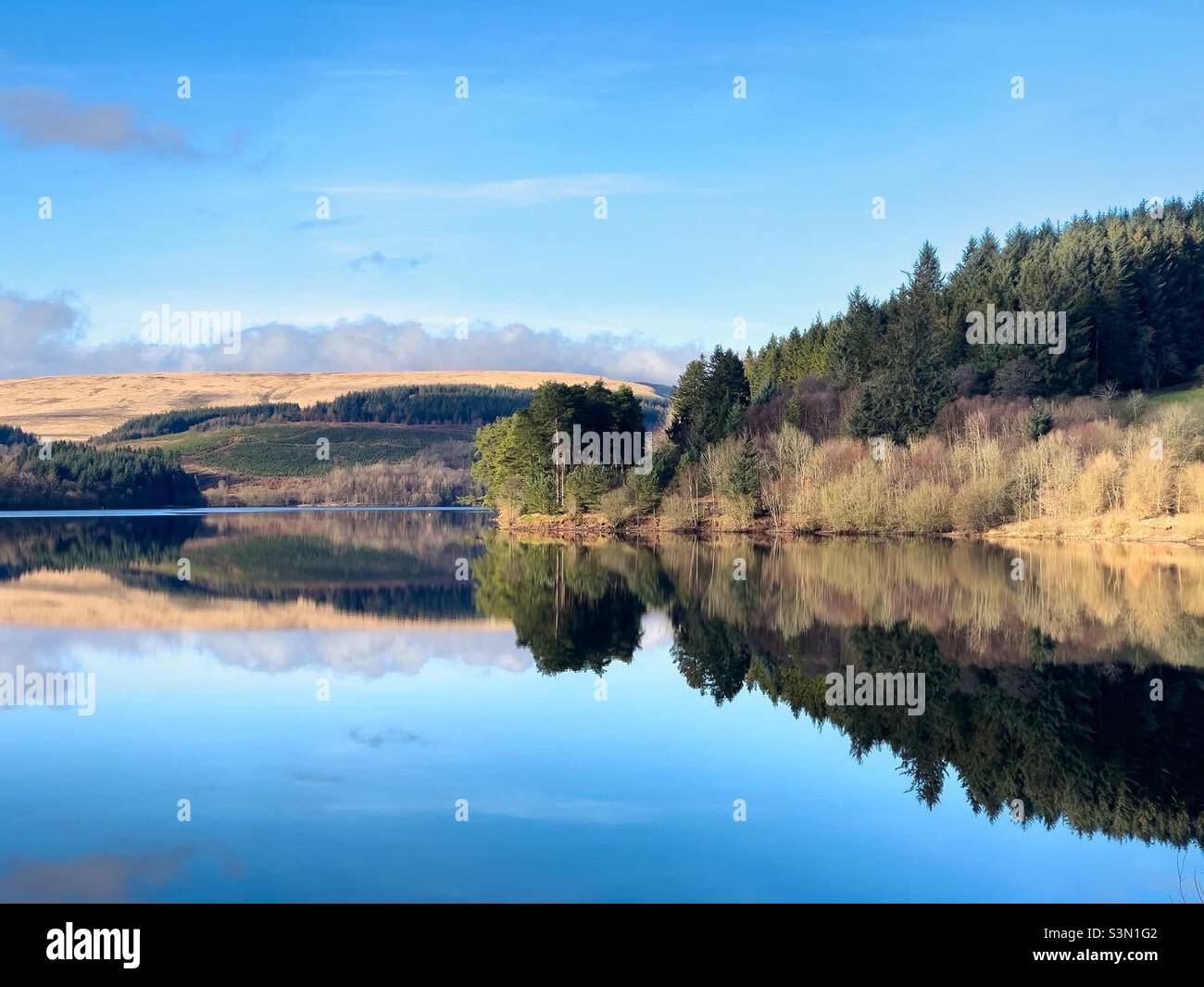 Tree reflections in a reservoir Stock Photo - Alamy