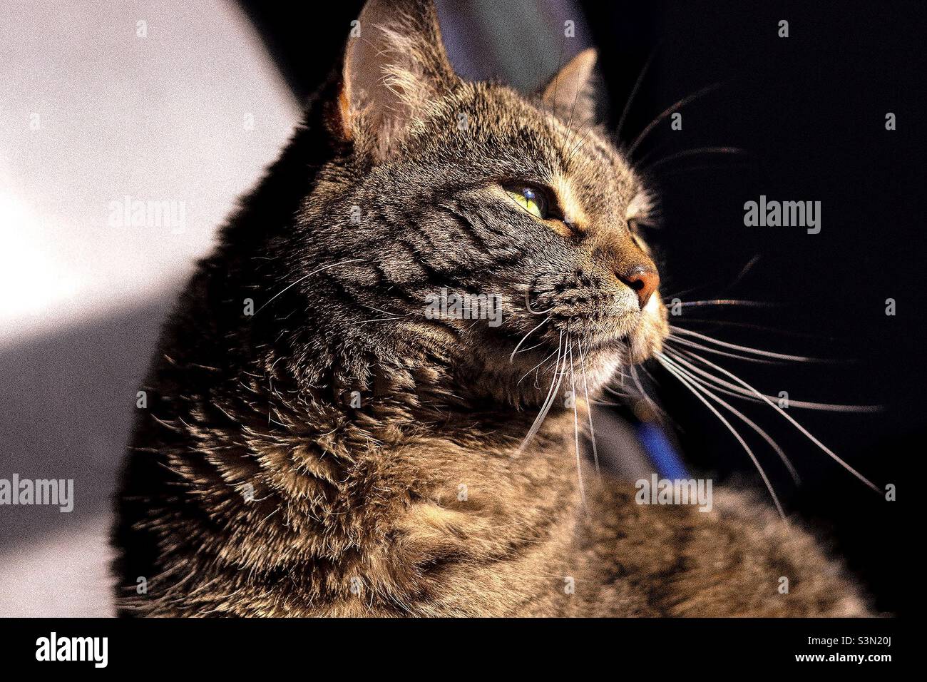 Sunny disposition hi-res stock photography and images - Alamy