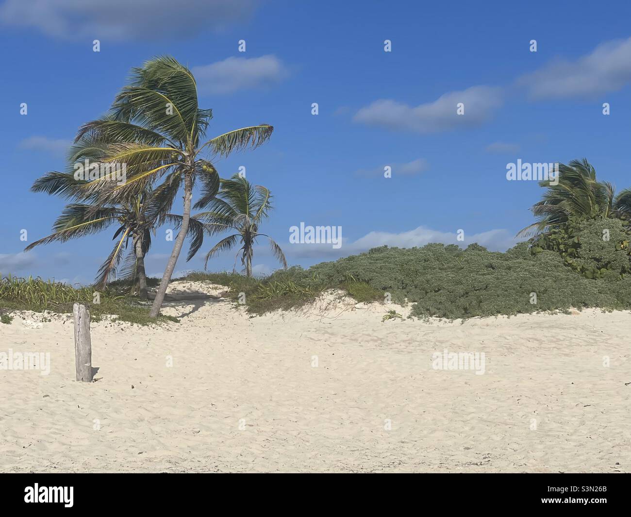 Undeveloped beach hi-res stock photography and images - Alamy