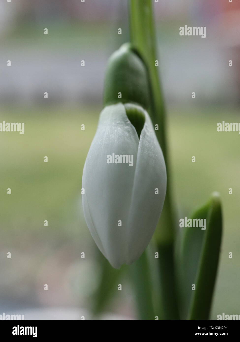 First sign of snow hi-res stock photography and images - Alamy