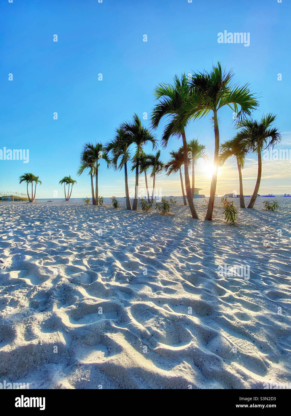 Beach sunset palm trees hi-res stock photography and images - Alamy