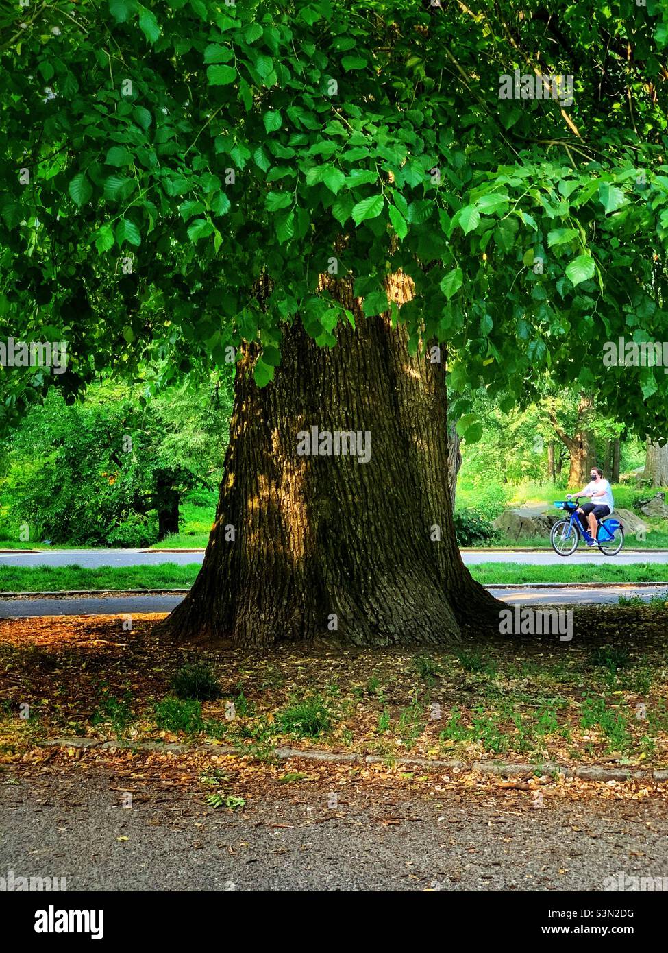 New rode hi-res stock photography and images - Alamy