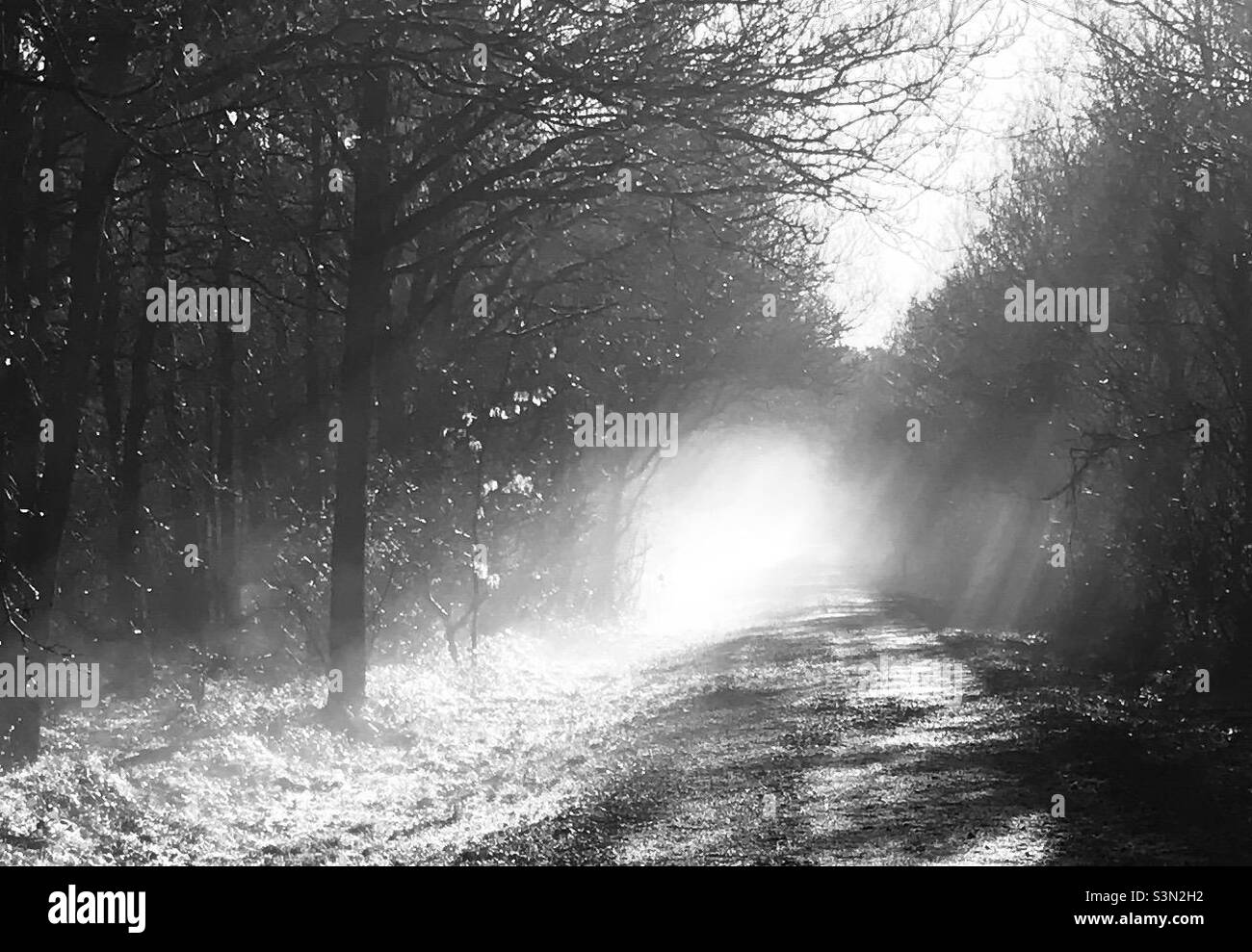 What to do in hampshire Black and White Stock Photos & Images - Alamy