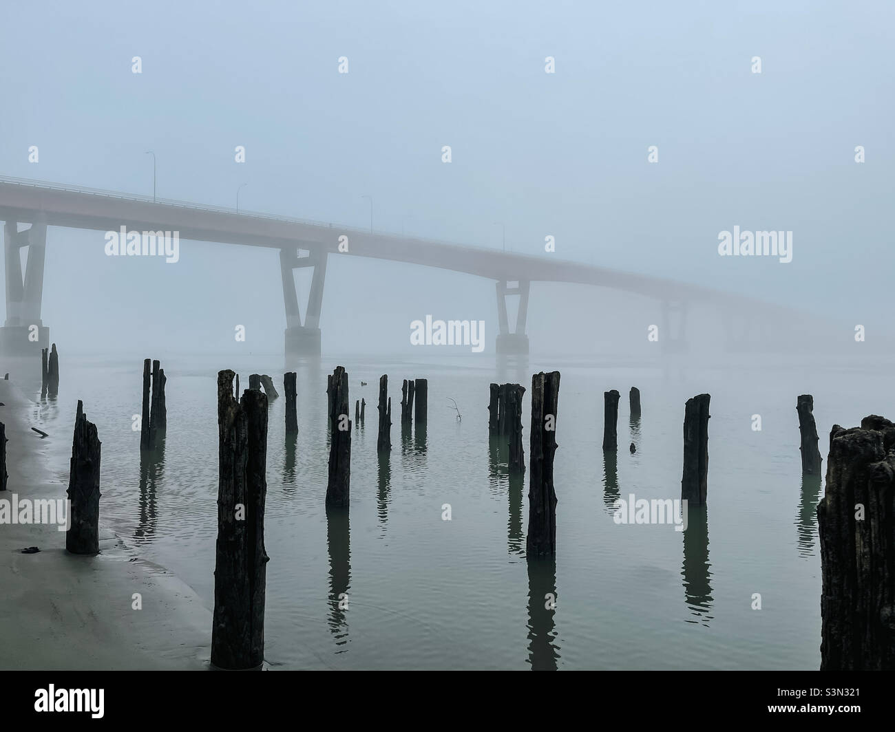 Old Wood Wharf Pylons Stock Photo - Alamy