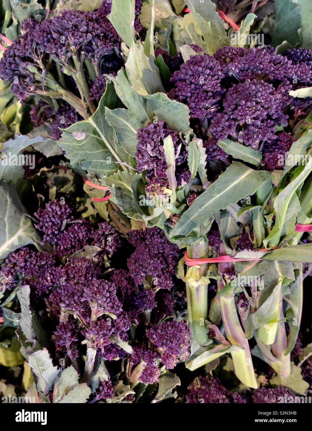 Purple sprouting broccoli for sale in a Worcestershire farm shop Stock ...