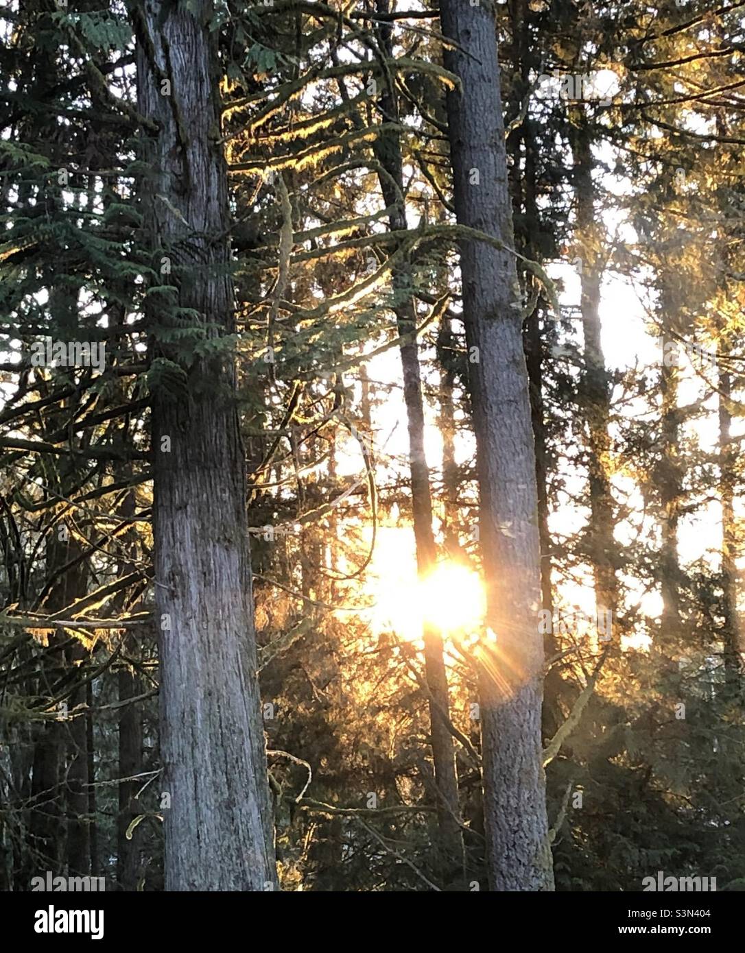 Sun setting. Good nature photo Stock Photo - Alamy