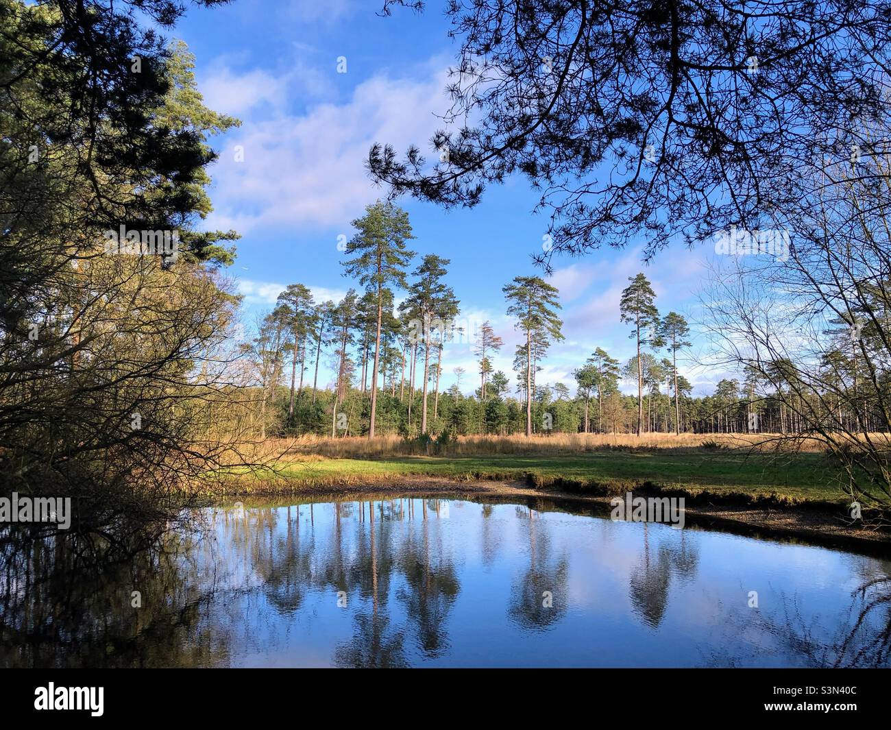 Bracknell forest hi-res stock photography and images - Alamy