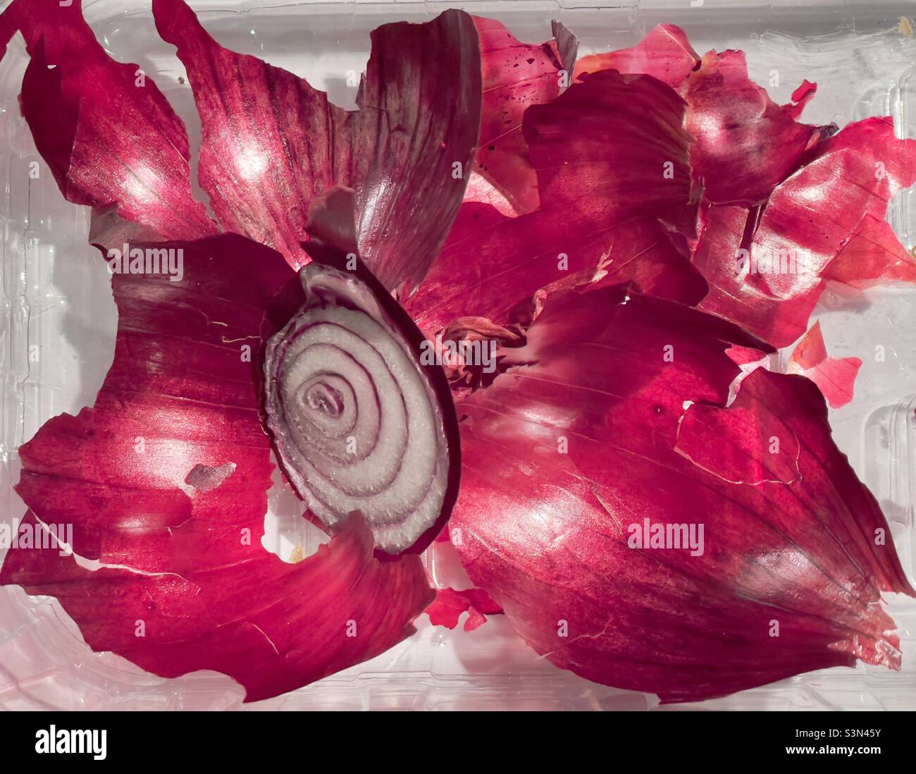 Onion waste hi-res stock photography and images - Alamy