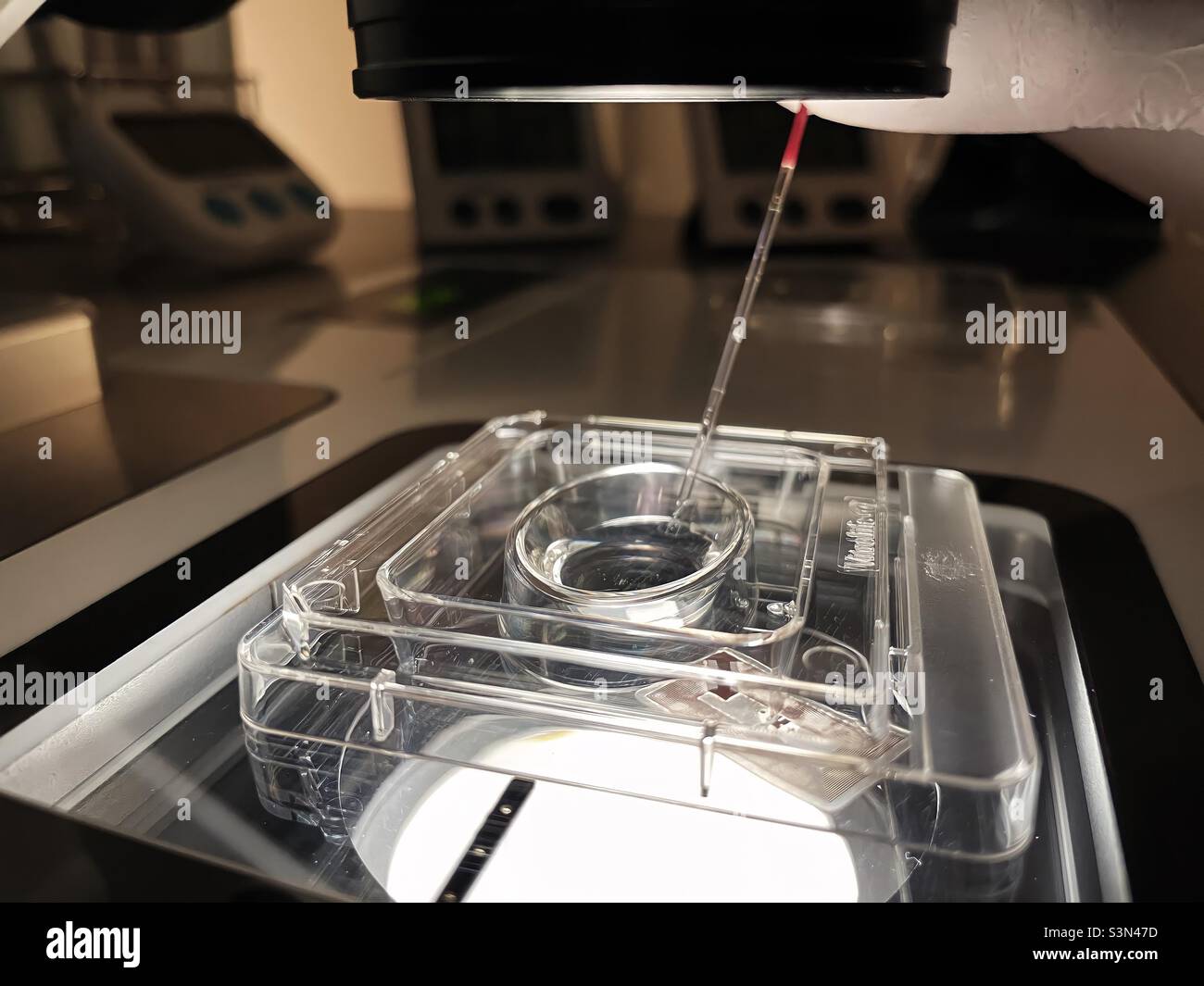 Understanding The Complexities And Importance Of Embryo Thaw