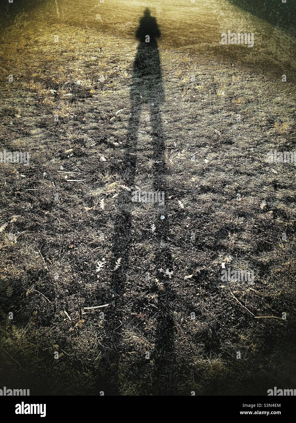 Long shadow of a woman Stock Photo - Alamy