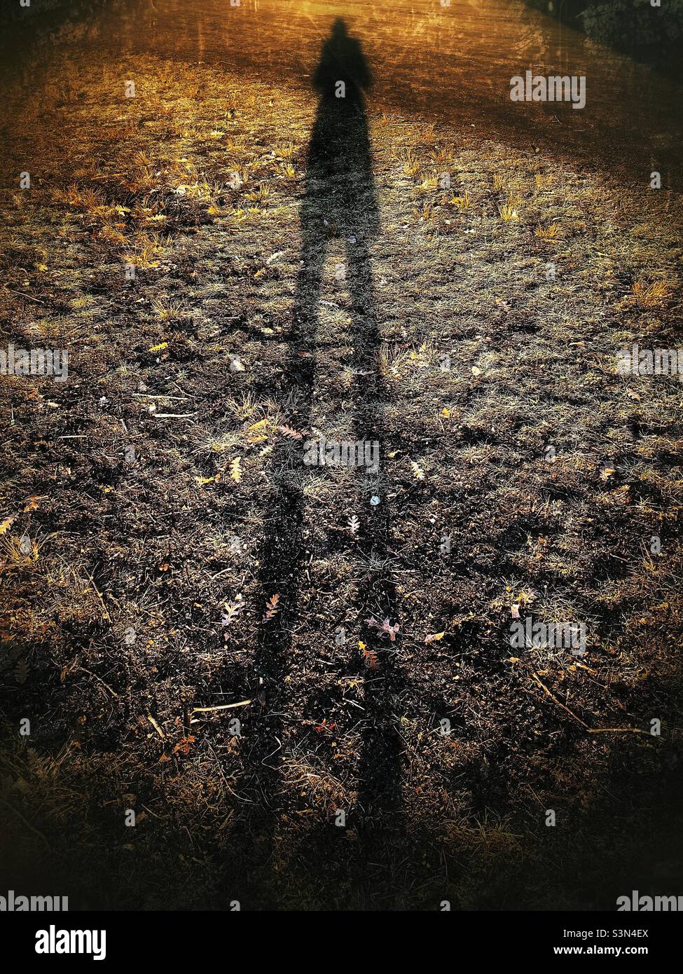 Long legged woman shadow Stock Photo - Alamy