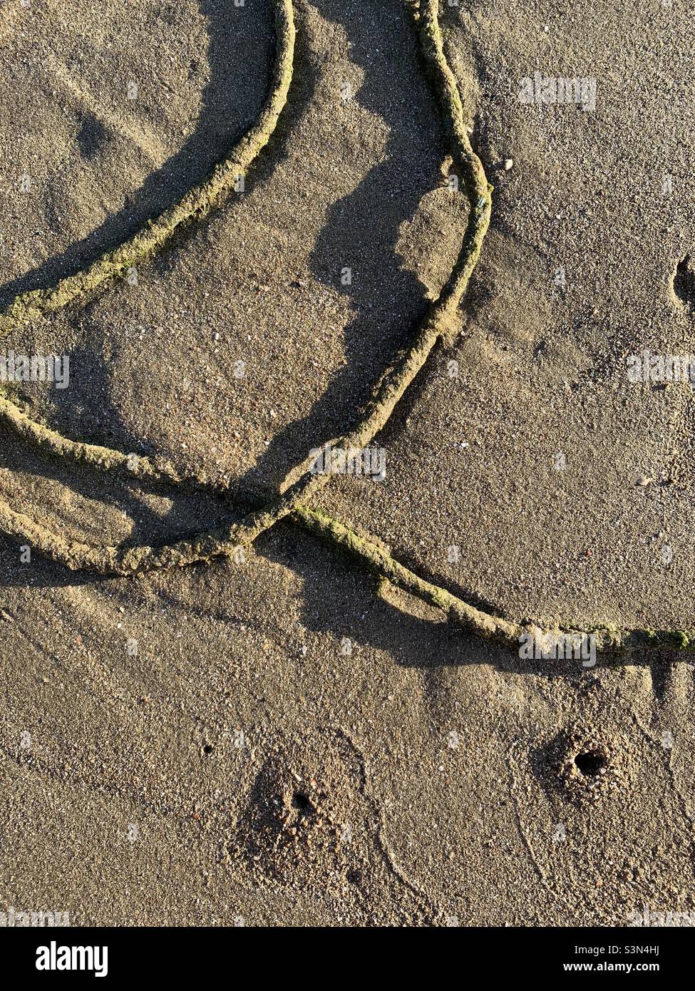 Resting on rope hi-res stock photography and images - Alamy