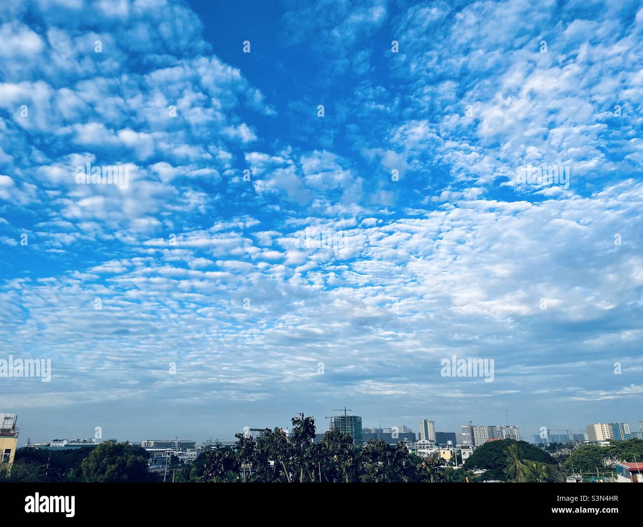 Bluid hi-res stock photography and images - Alamy