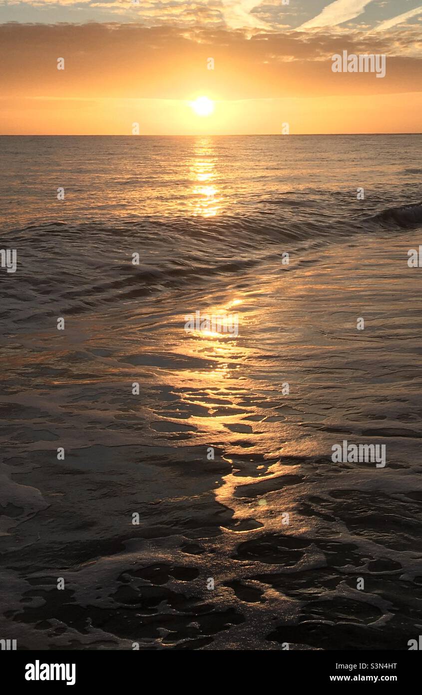 Golden nature hi-res stock photography and images - Alamy