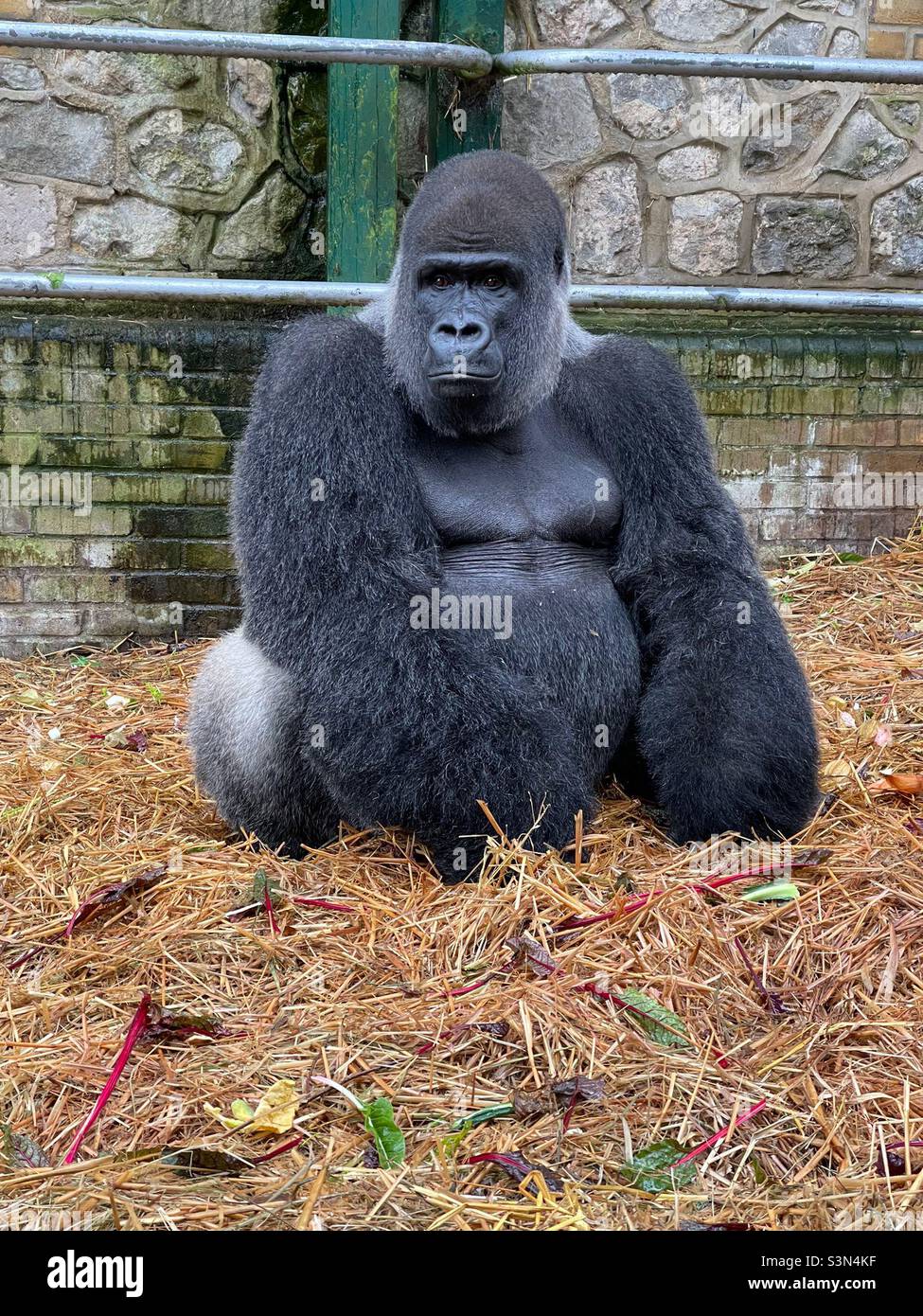 Grumps hi-res stock photography and images - Alamy