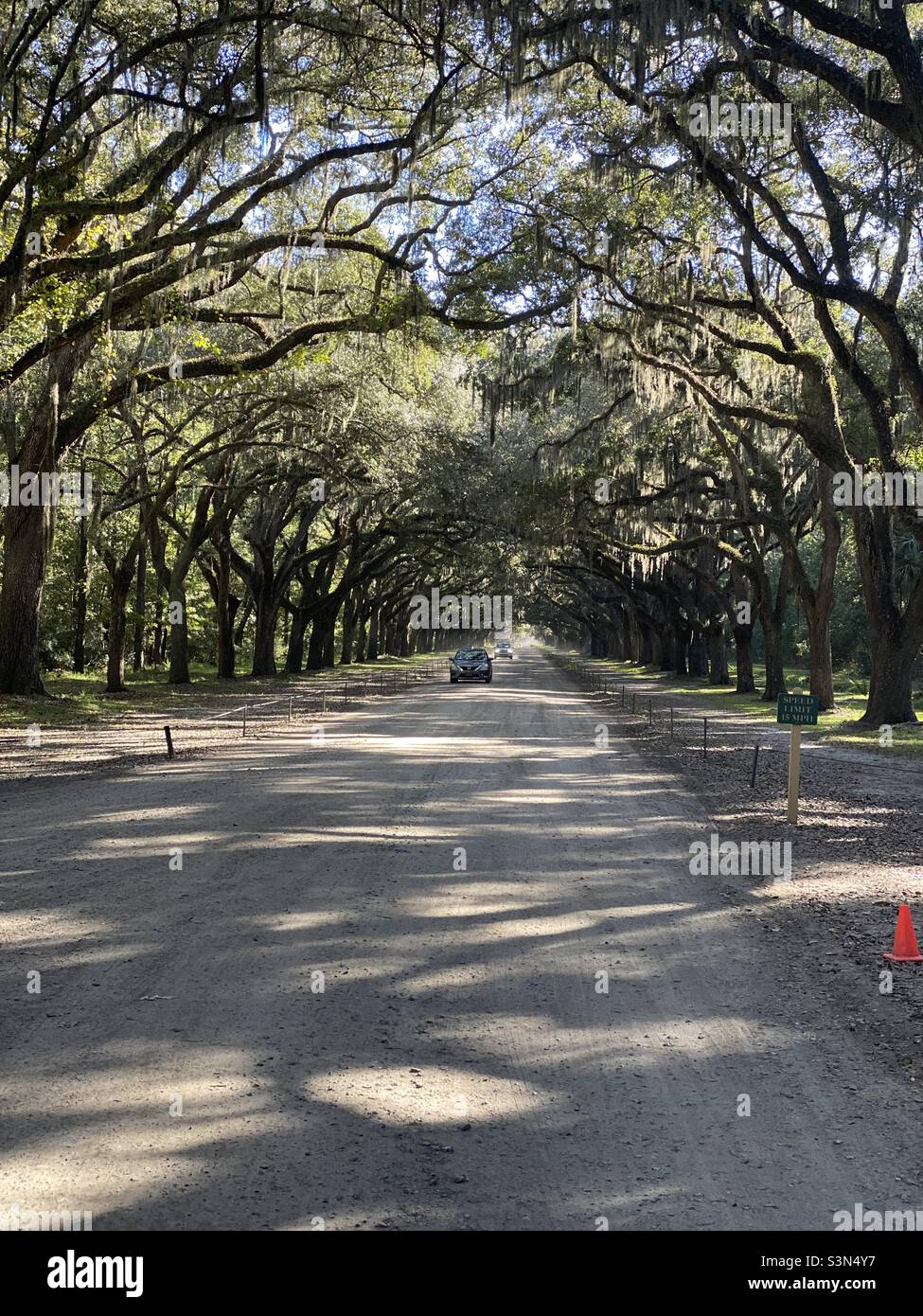 Wormsloe Historic Site Stock Photo - Alamy