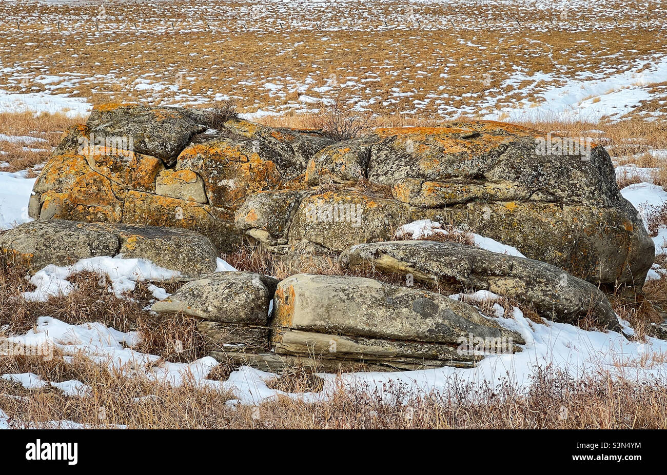 Calgary foothills hi-res stock photography and images - Alamy