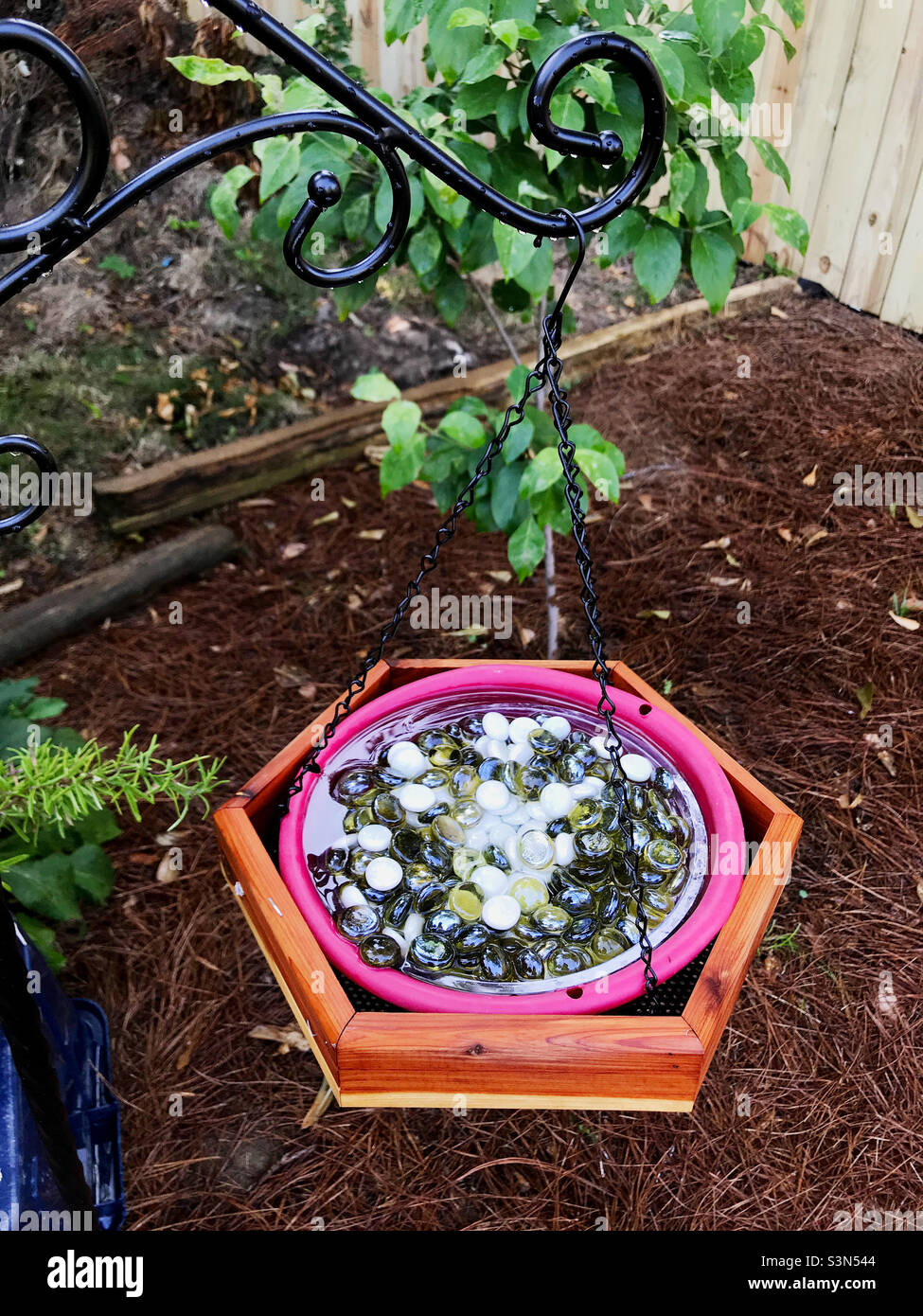 Bee water station hi-res stock photography and images - Alamy