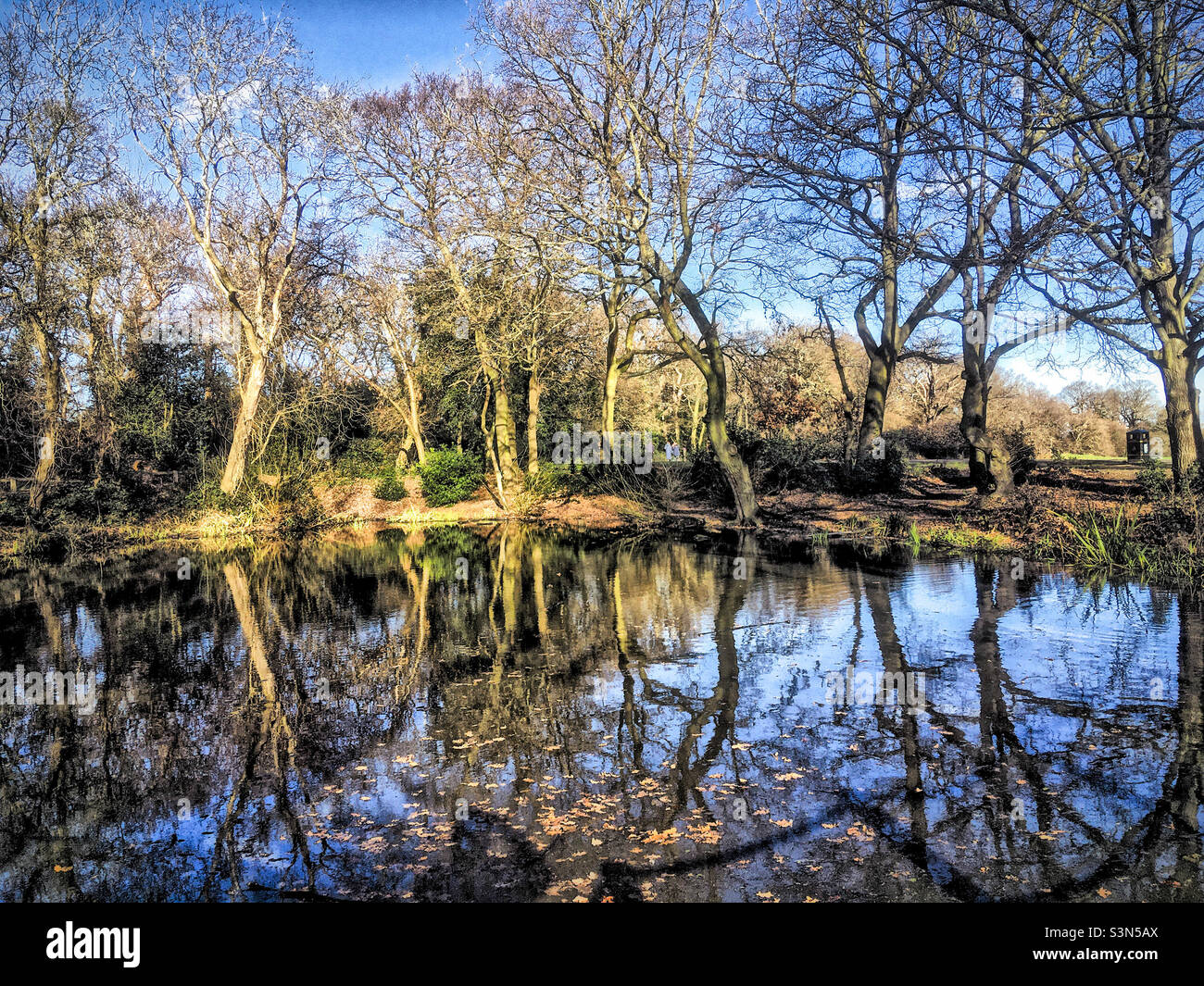View of the Ancient, pond restored by the Friends of Beckenham Place ...