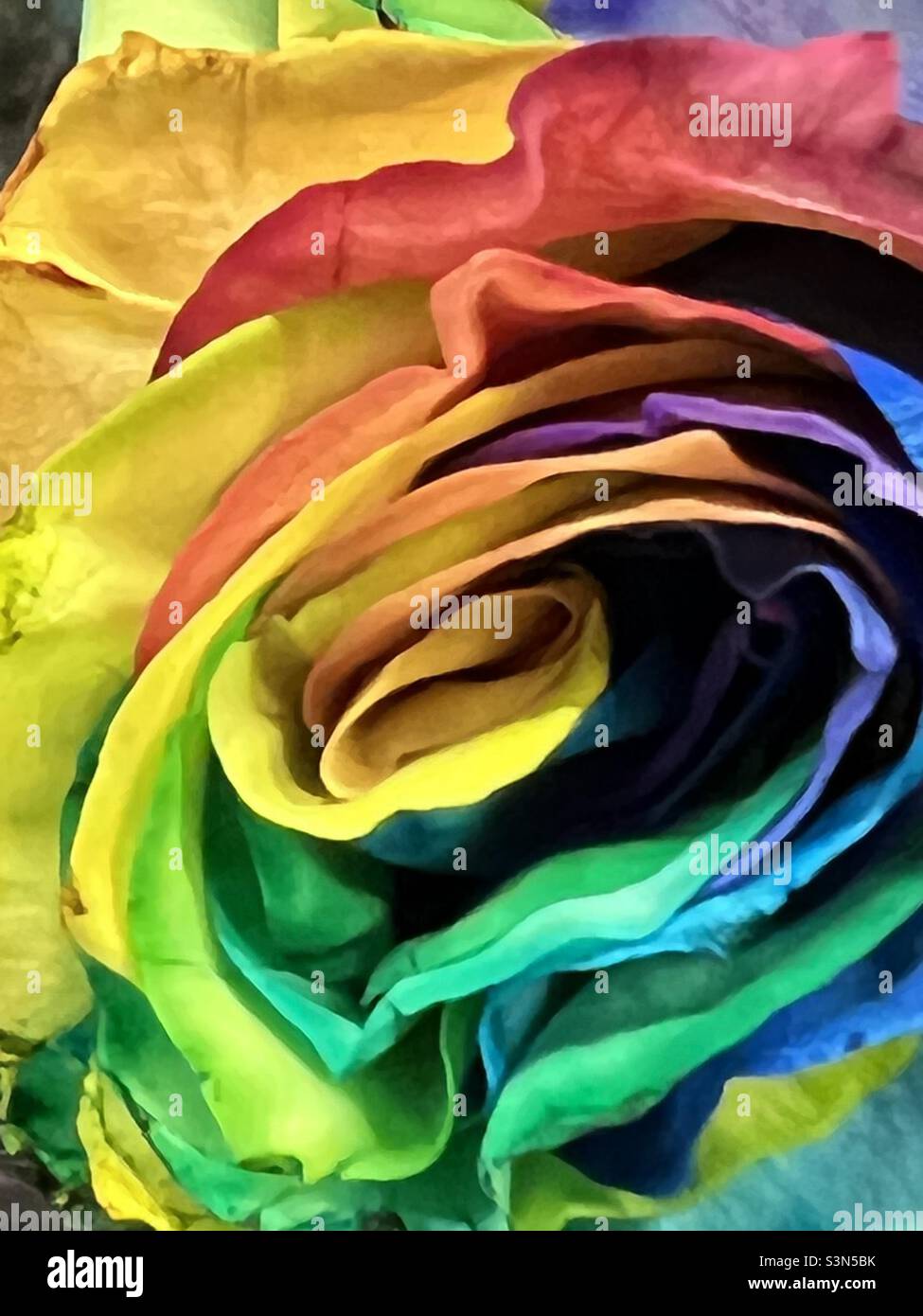 Rainbow flower hi-res stock photography and images - Alamy