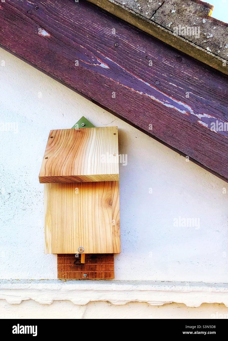 Bat box hi-res stock photography and images - Alamy