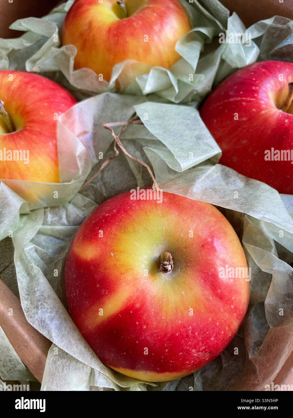 Close up of a gift box of apples in paper wrapping, 2022, United States ...