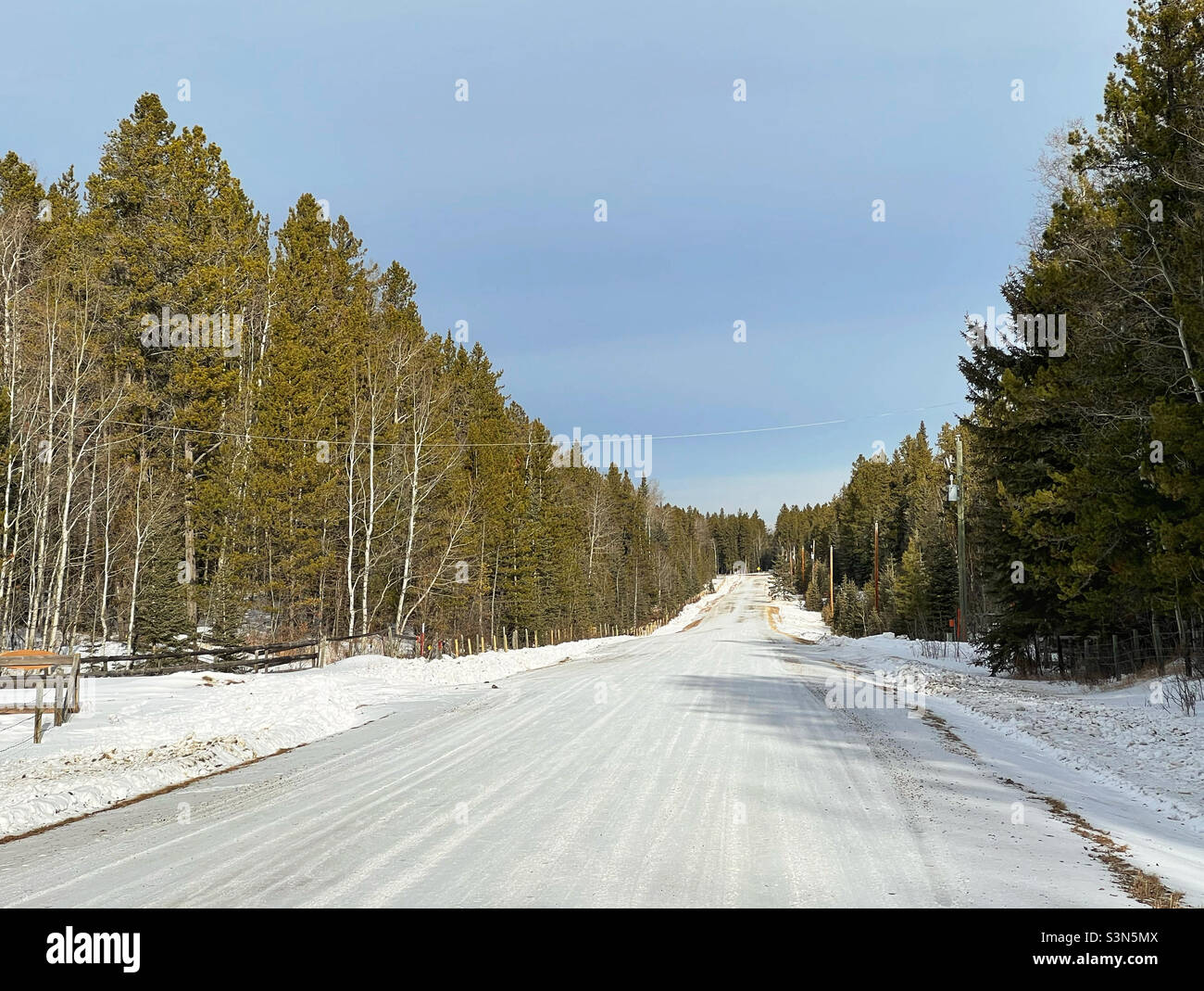 A long snow-covered, tree-lined road in the foothills of Alberta ...