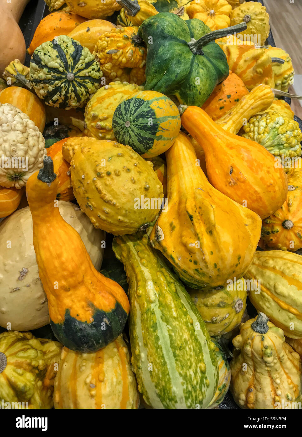 Selection gourds hi-res stock photography and images - Alamy