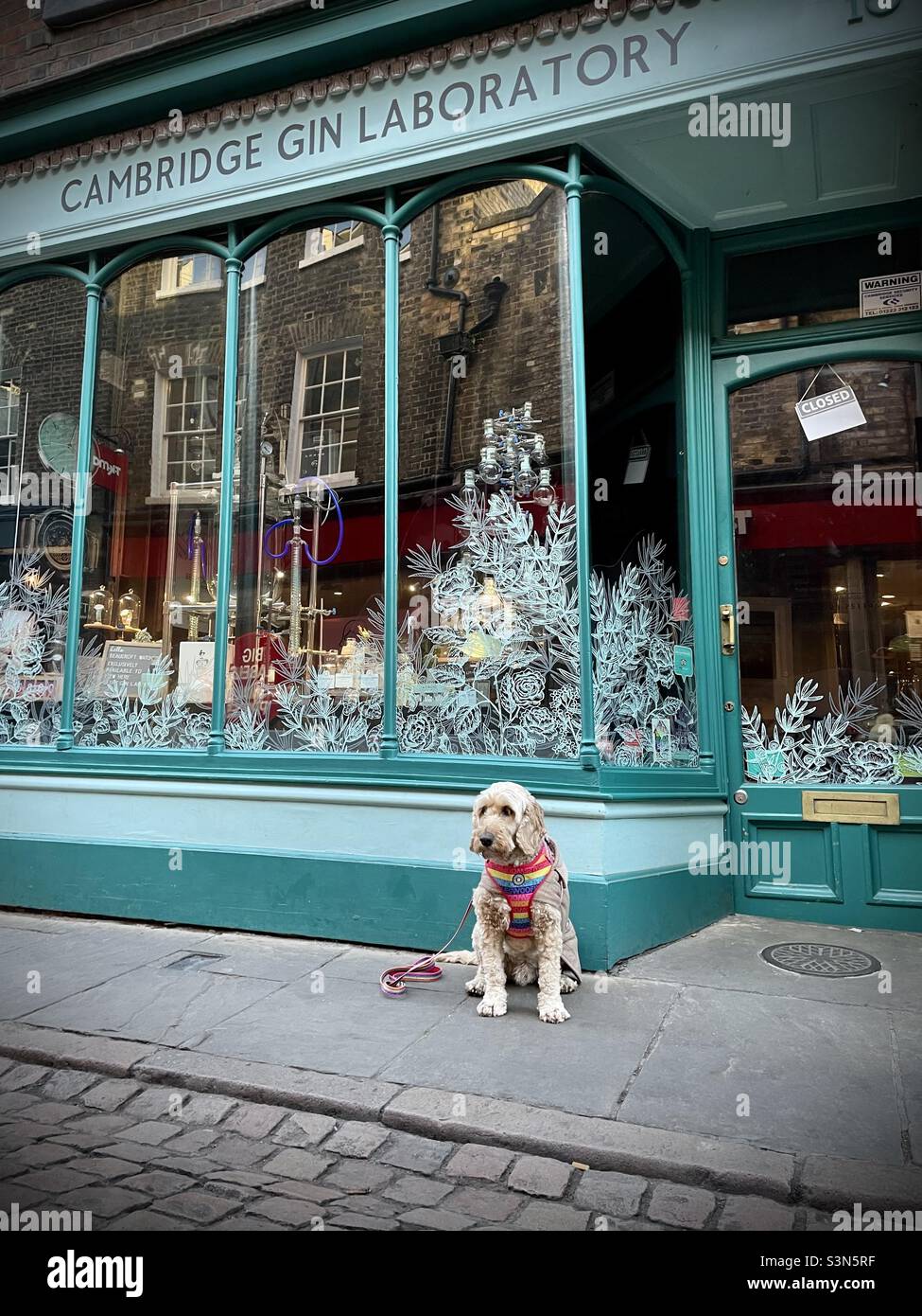 Cambridge gin laboratory hi-res stock photography and images - Alamy