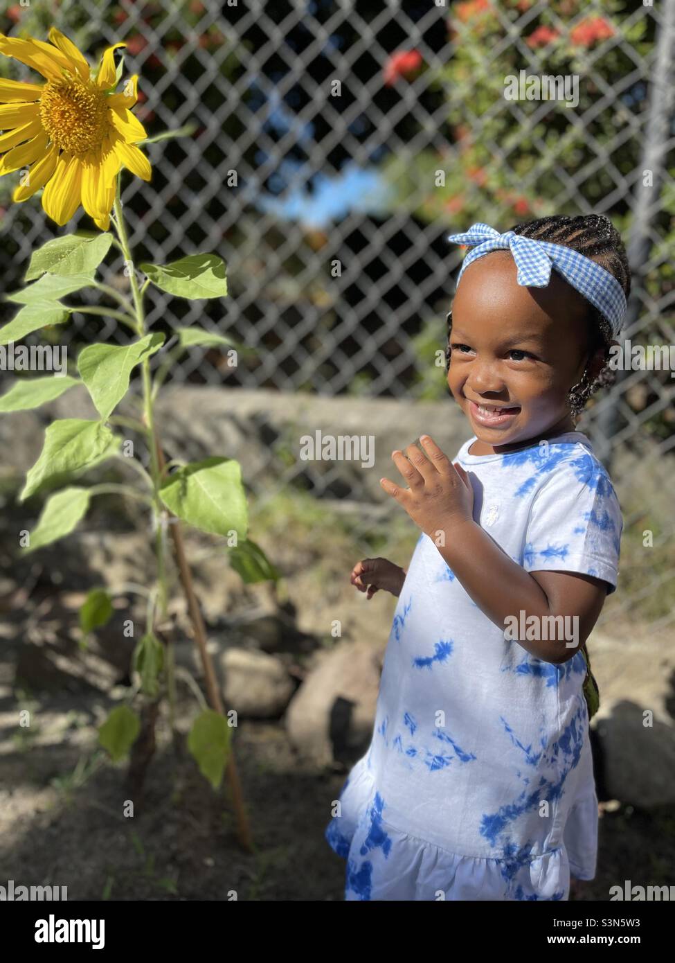 Baby and sunflower hi-res stock photography and images - Alamy