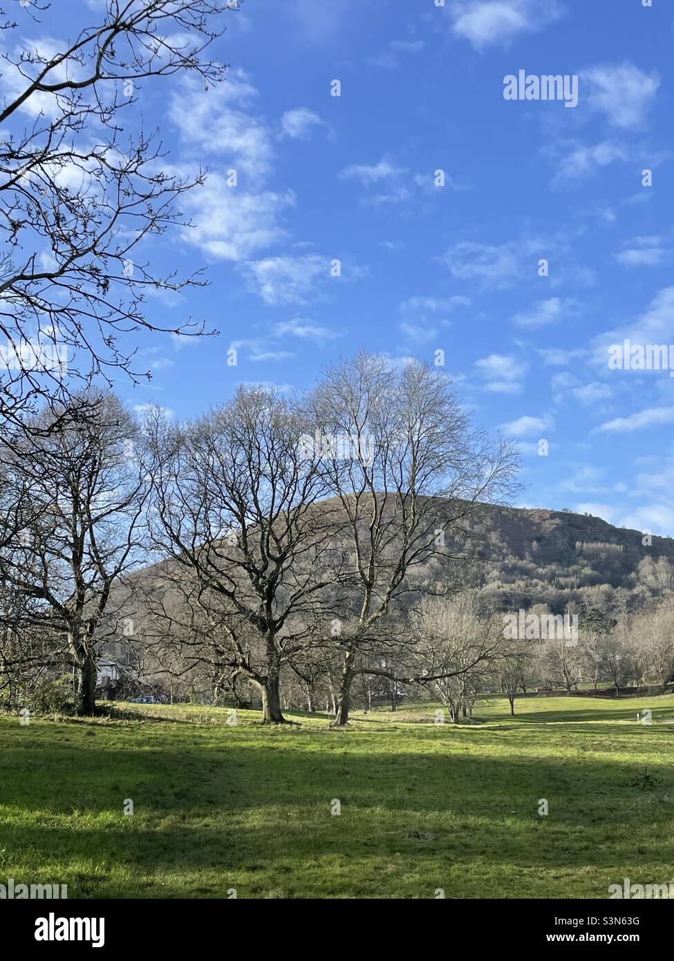 From link common hi-res stock photography and images - Alamy