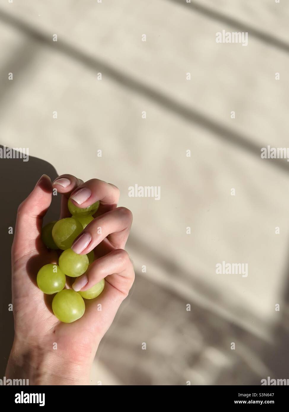 Green grapes in the hand Stock Photo - Alamy