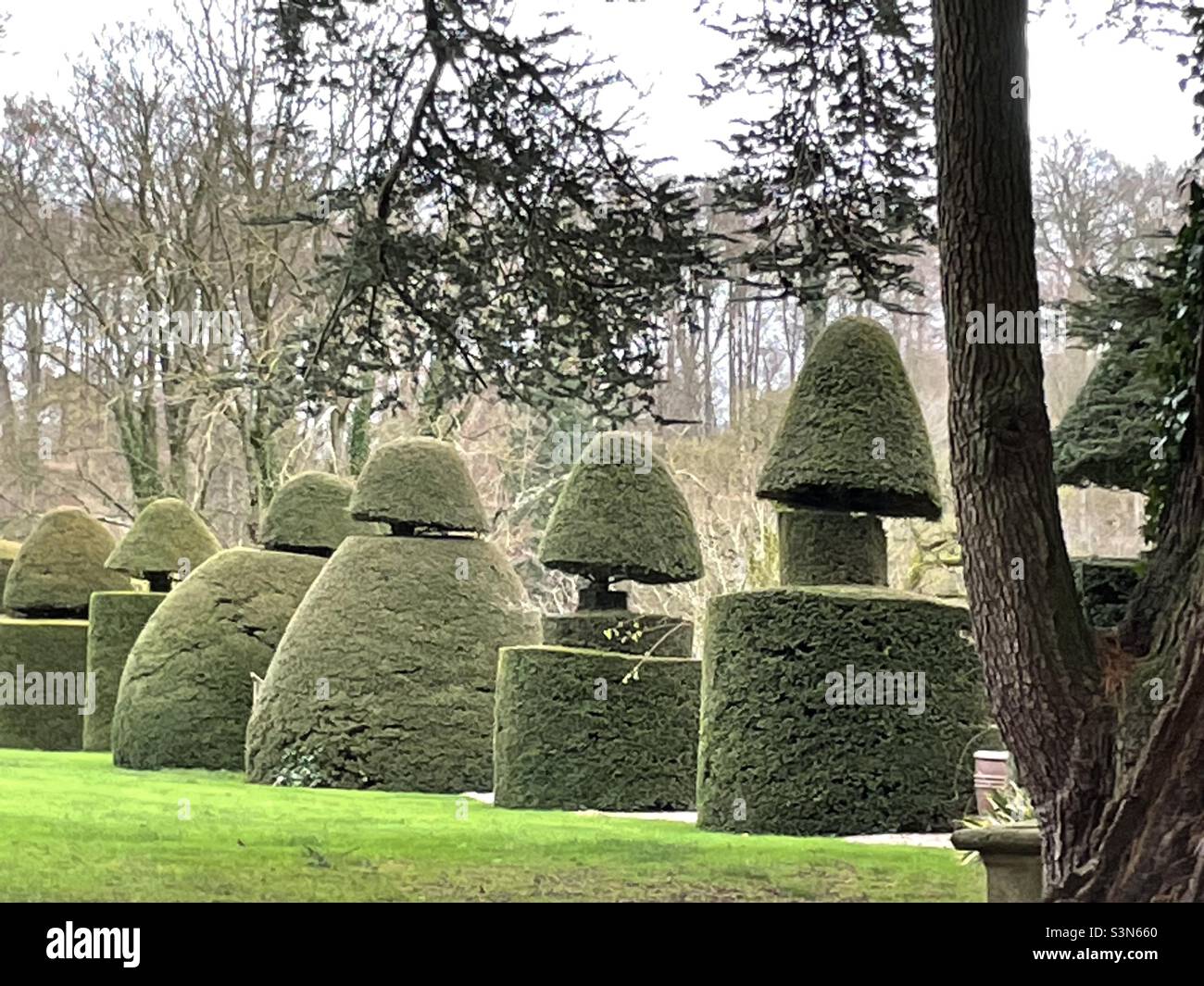 Topiary shapes hi-res stock photography and images - Alamy